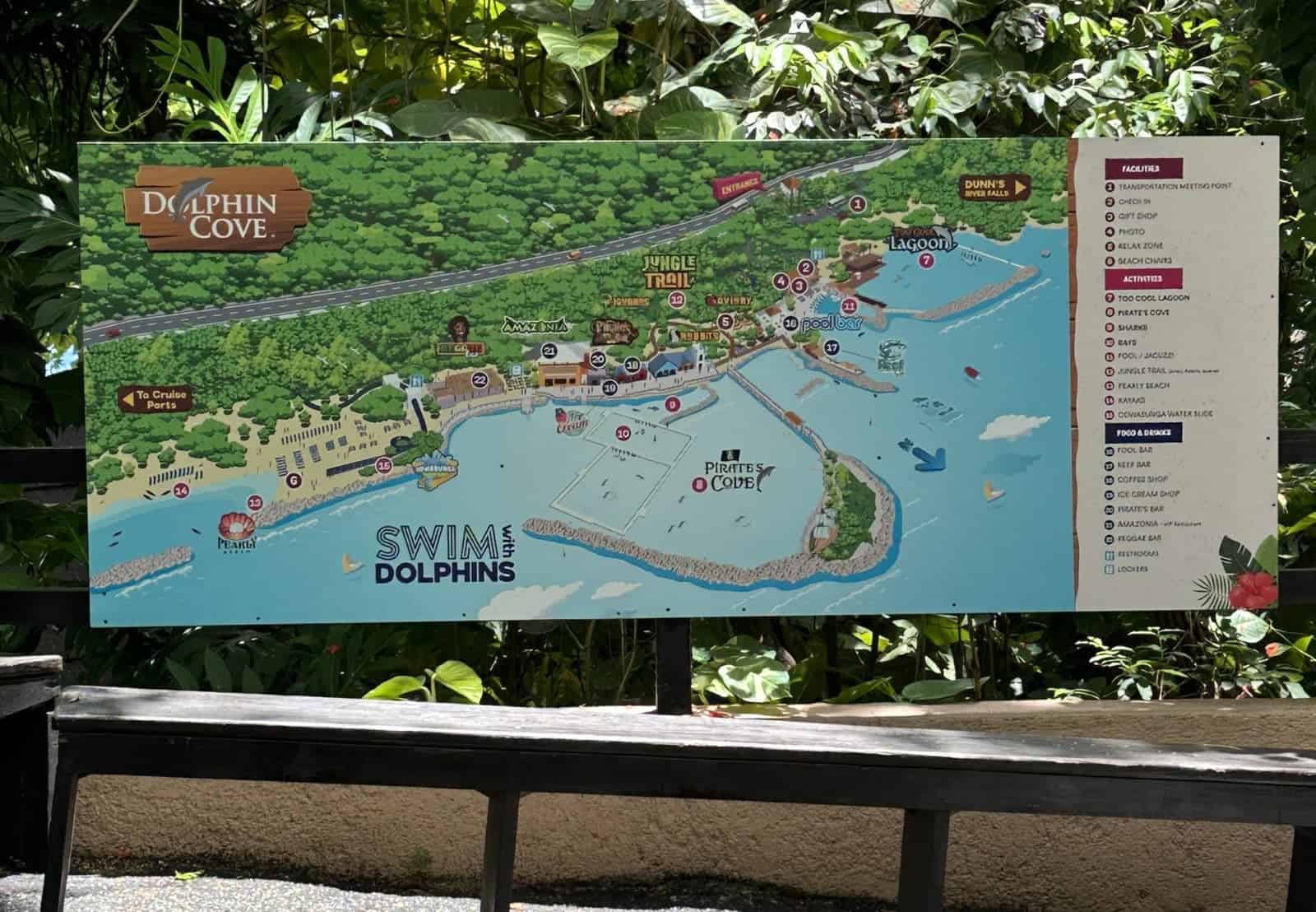 Dolphin Cove in Ocho Rios- Your Options - Straight Away Travel