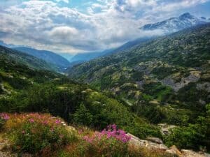 White Pass Summit Rail & Yukon Suspension Bridge: Skagway’s most scenic ...
